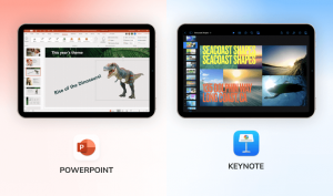 Different Types of Files: How and Where to Use Them